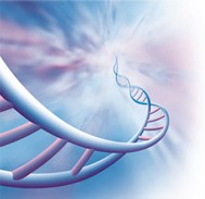 Daily Speculations Archives: January 2006